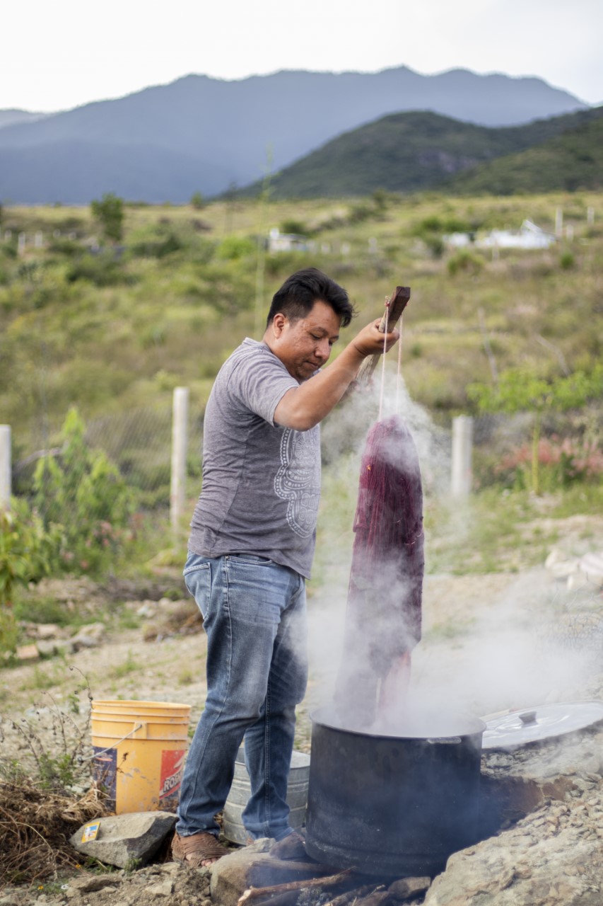Froylán Méndez Bautista, un tejedor por herencia - El Imparcial de Oaxaca