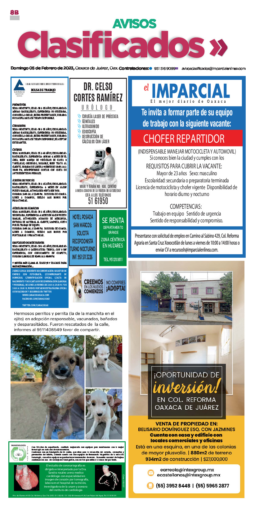 Clasificados 5 de febrero del 2023 | El Imparcial de Oaxaca