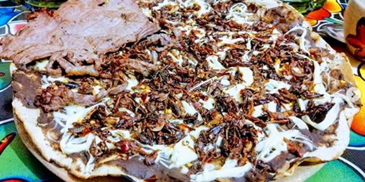 La Tlayuda de Oaxaca es coronada como el platillo favorito de México ...