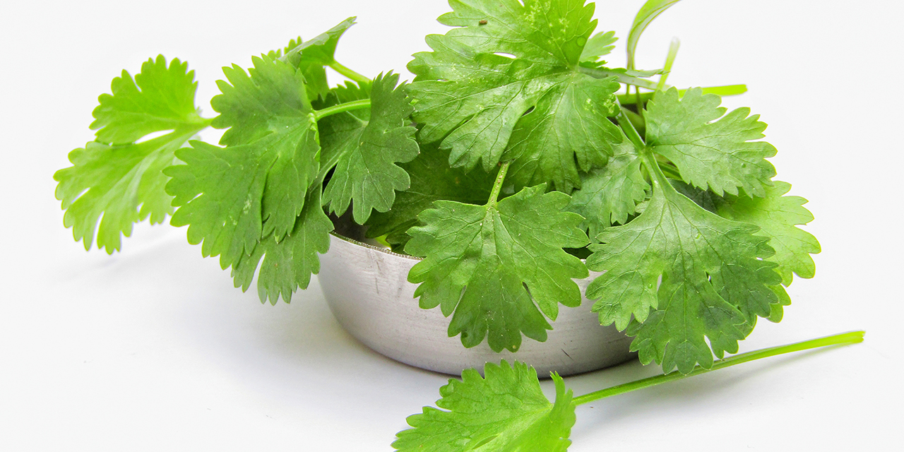 ‘Por los cielos’: ¿Por qué subió el precio del cilantro?