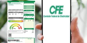 ¿Cómo consultar y descargar tu recibo de la CFE en línea? - El Imparcial de Oaxaca