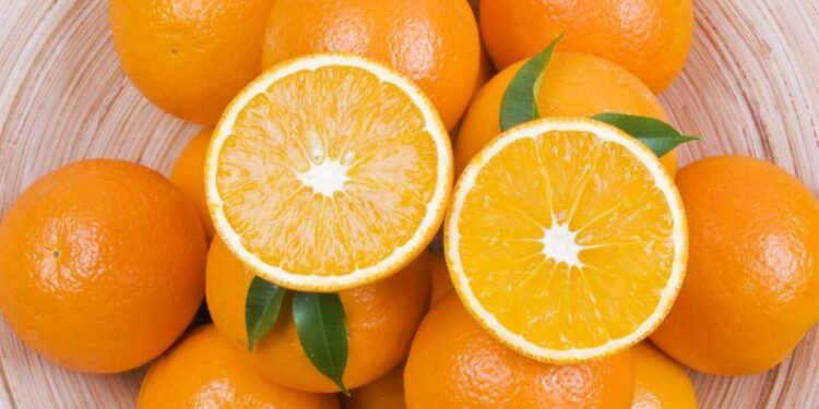 ¿Qué tan recomendable es consumir naranjas diariamente? - El Imparcial ...