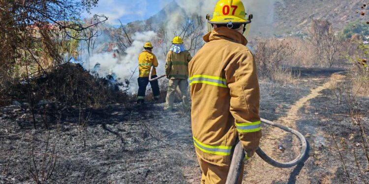 Hombre detenido por provocar un incendio - El Imparcial de Oaxaca