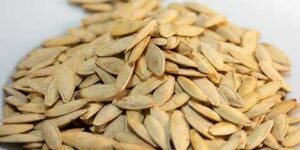 ¿Pueden las pepitas de calabaza ayudar a cuidar tus riñones y controlar ...