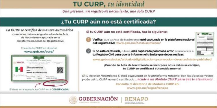¿Necesitas tu CURP certificada? Aquí te decimos cómo tramitarla gratis - El Imparcial de Oaxaca