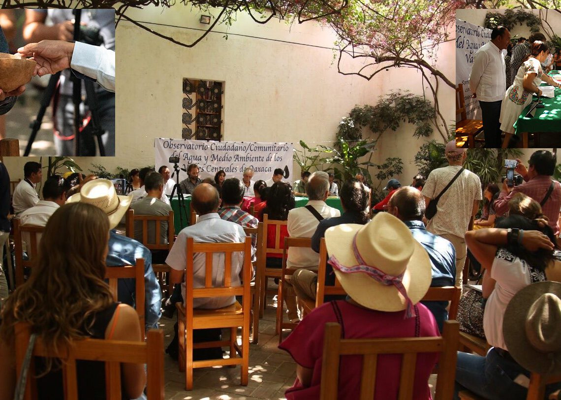 ¿Jumex, Del Valle o Friko? Profeco revela cuáles jugos tienen más ...