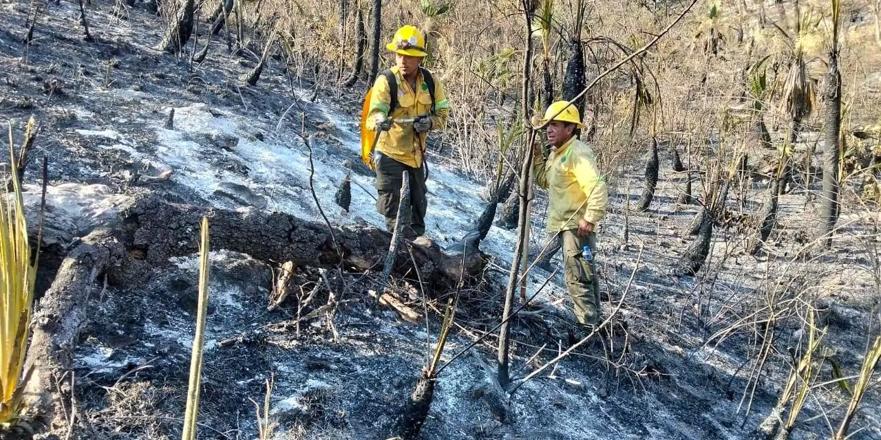 Voluntarios, ciudadanos y brigadistas sofocan incendio en Tilantongo ...